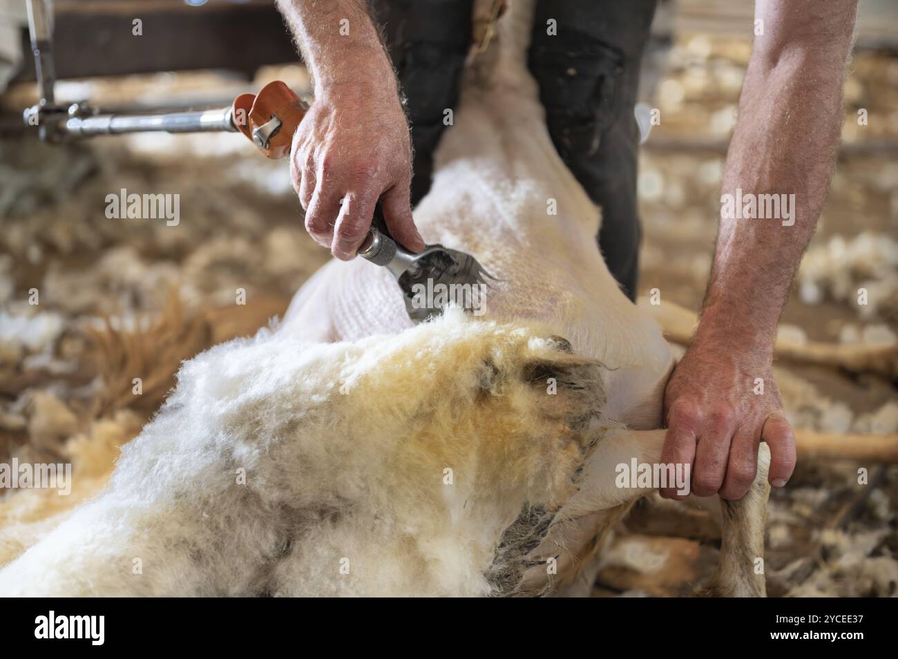 Young female farmer works in hi-res stock photography and images - Alamy