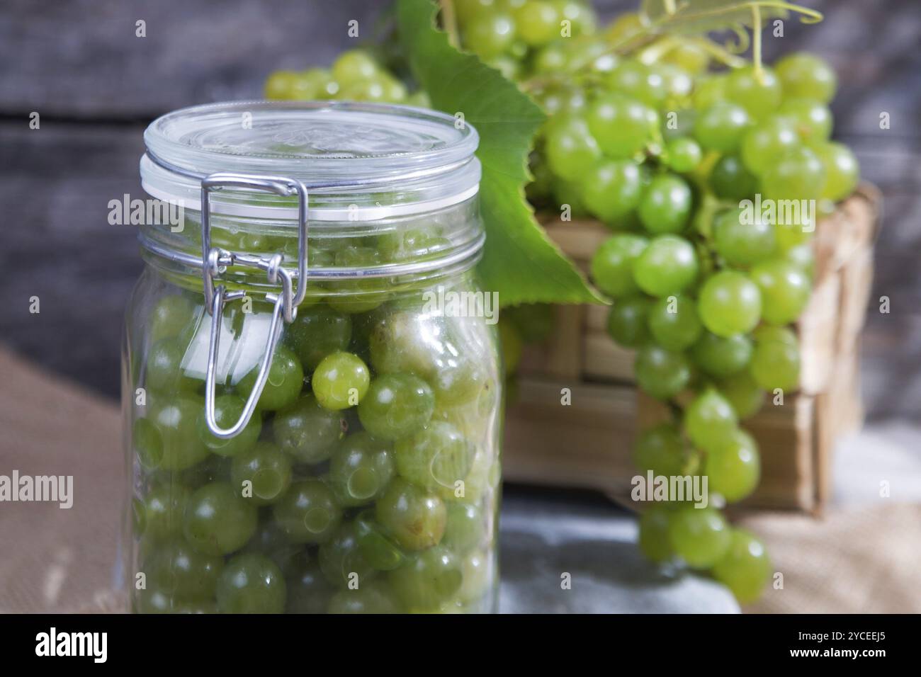 End of September, the time of the grape harvest Stock Photo - Alamy