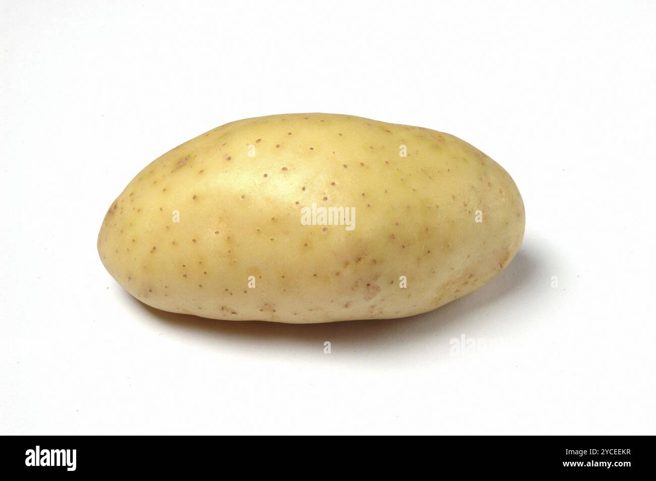 Potato, Close Up on white background Stock Photo - Alamy