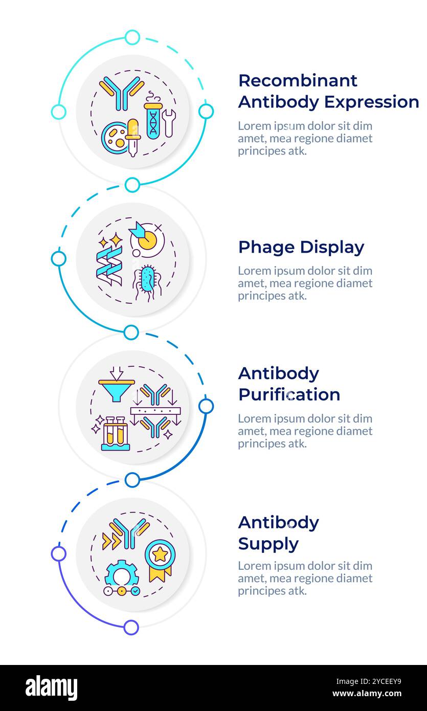 Antibody production process infographic design template Stock Vector ...