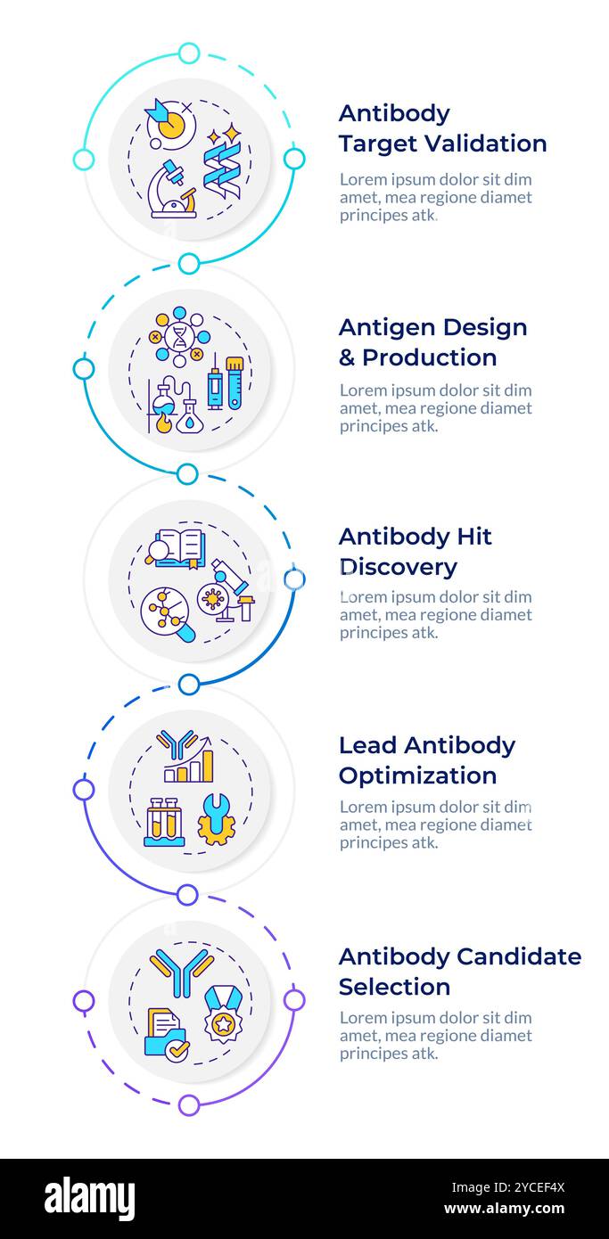 Stages in antibody discovery infographic design template Stock Vector ...