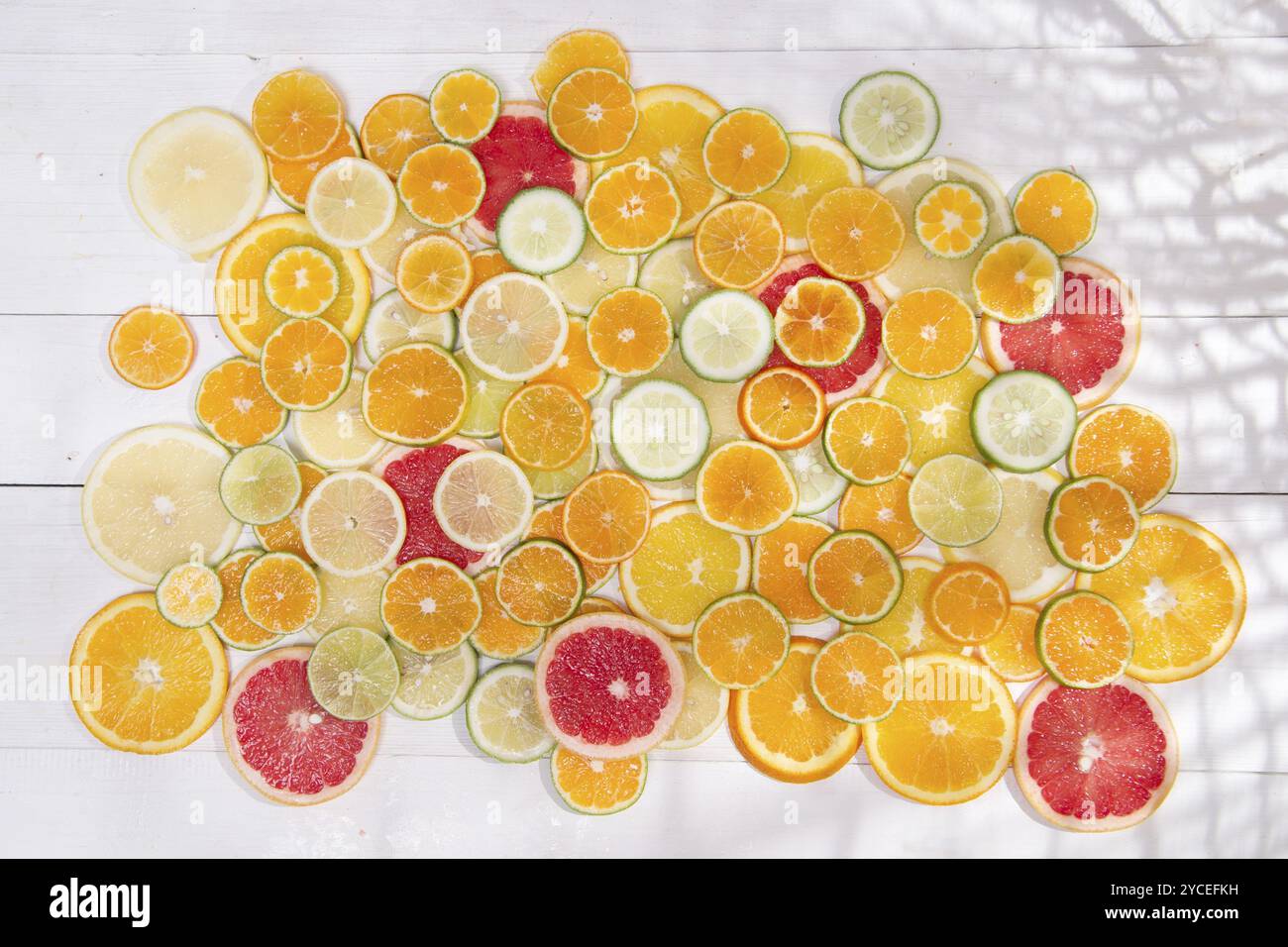 Different types kinds varieties hi-res stock photography and images - Alamy