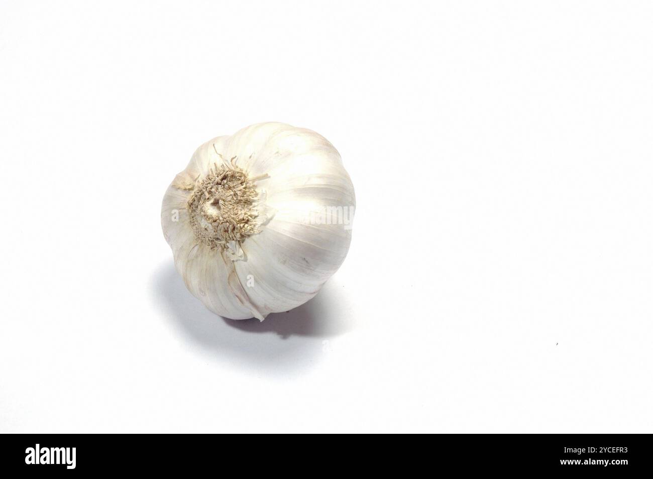 Garlic, Close Up against white background Stock Photo - Alamy