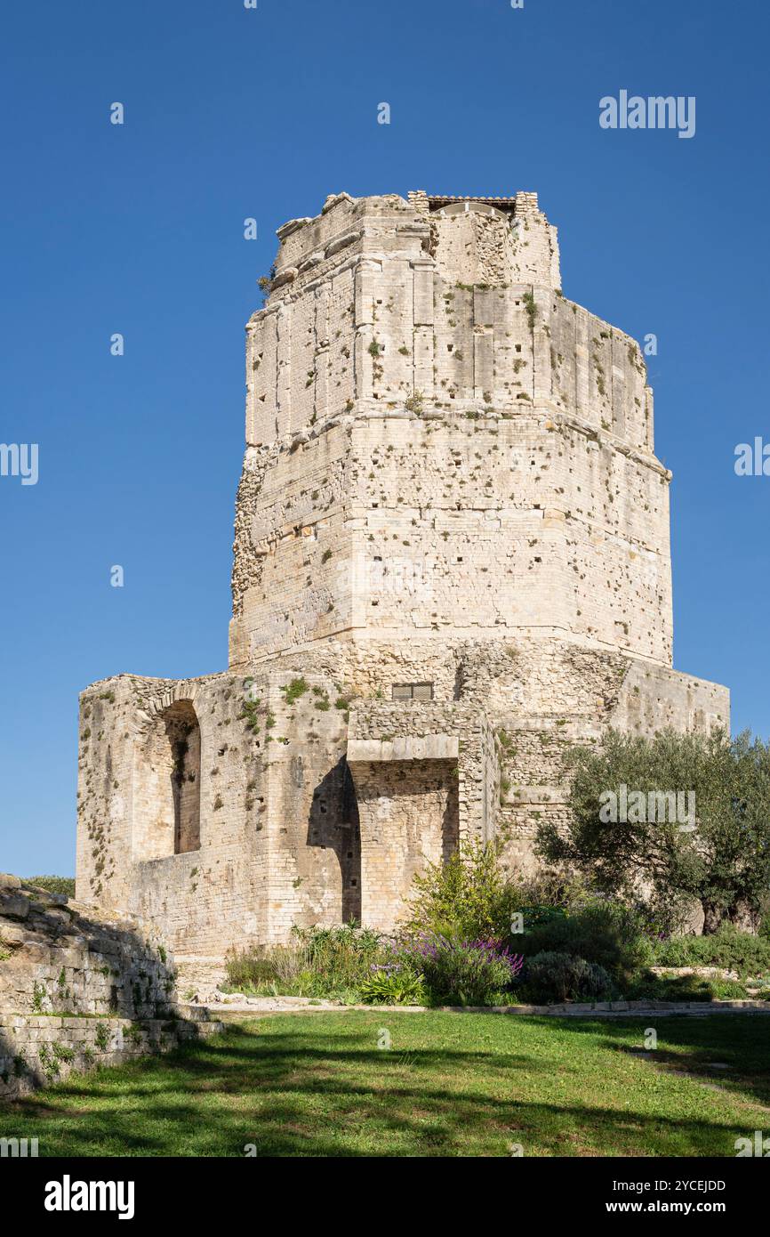 Vertical landscape view of historic landmark roman monument Magne Tower ...