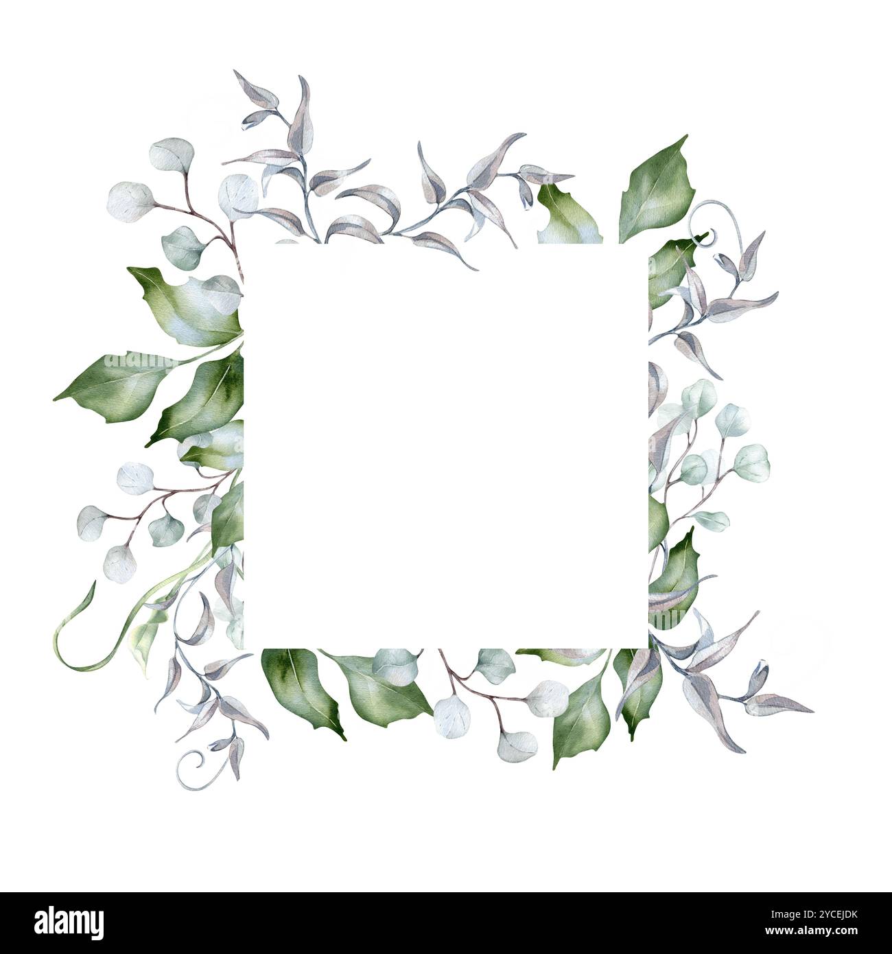 Greenery frame of holly branches delicate watercolor isolated. Foliage ...