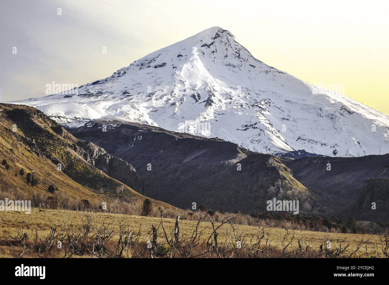Lanin Volcano is an ice-clad, cone-shaped stratovolcano on the border ...