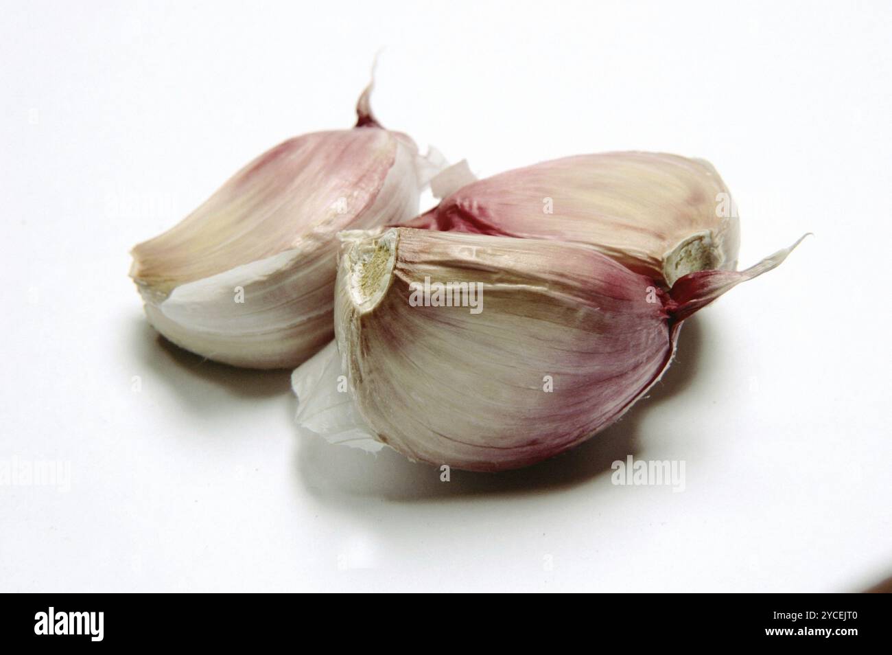Garlic, Close Up against white background Stock Photo - Alamy