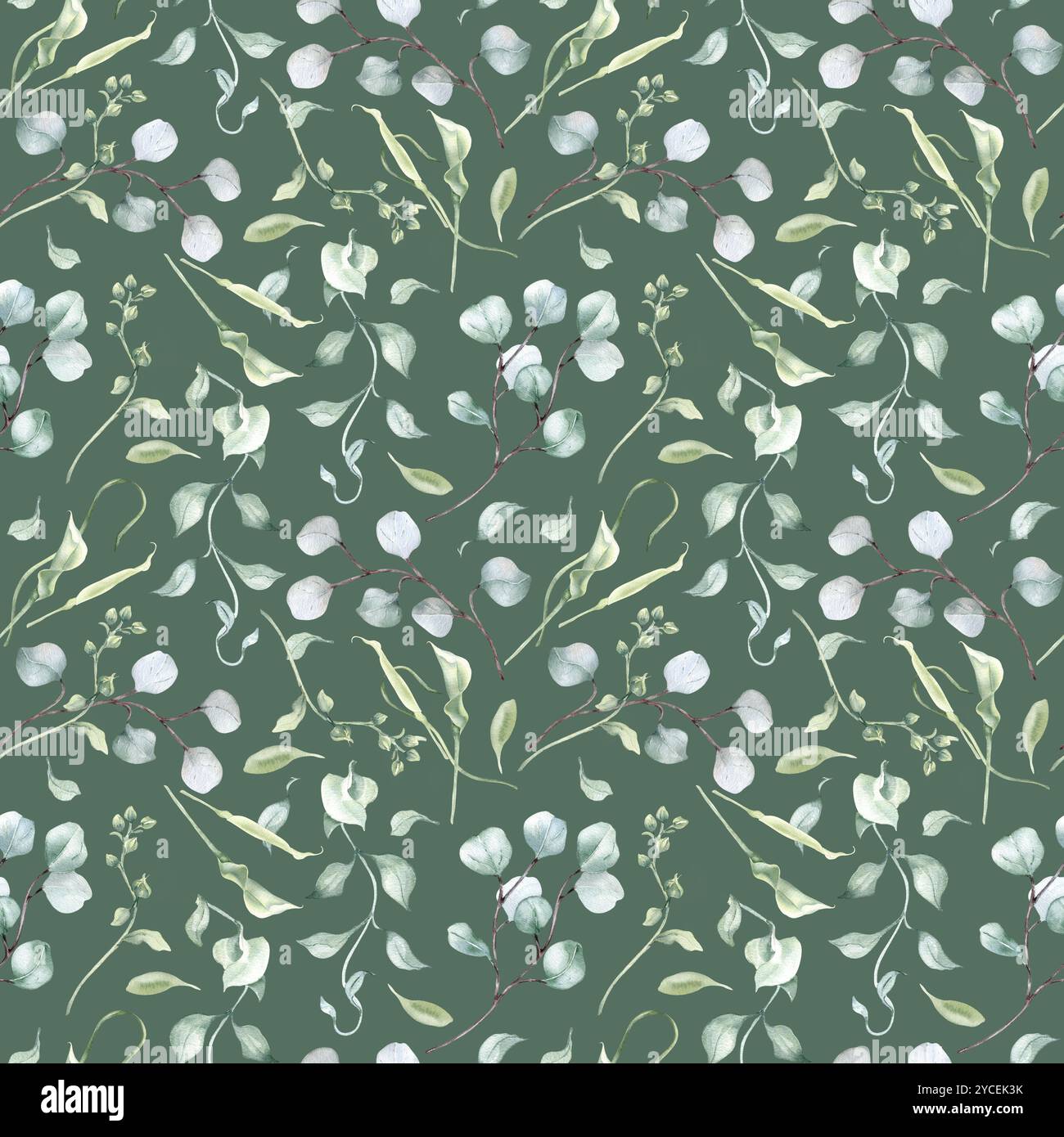 Watercolor eucalyptus leaves pale green seamless pattern isolated. Soft ...