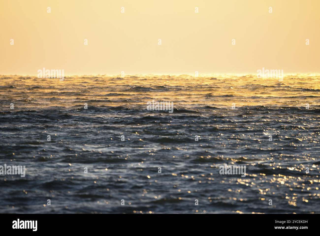 Waves of the lake in the golden light of the low sun, Hoernle ...