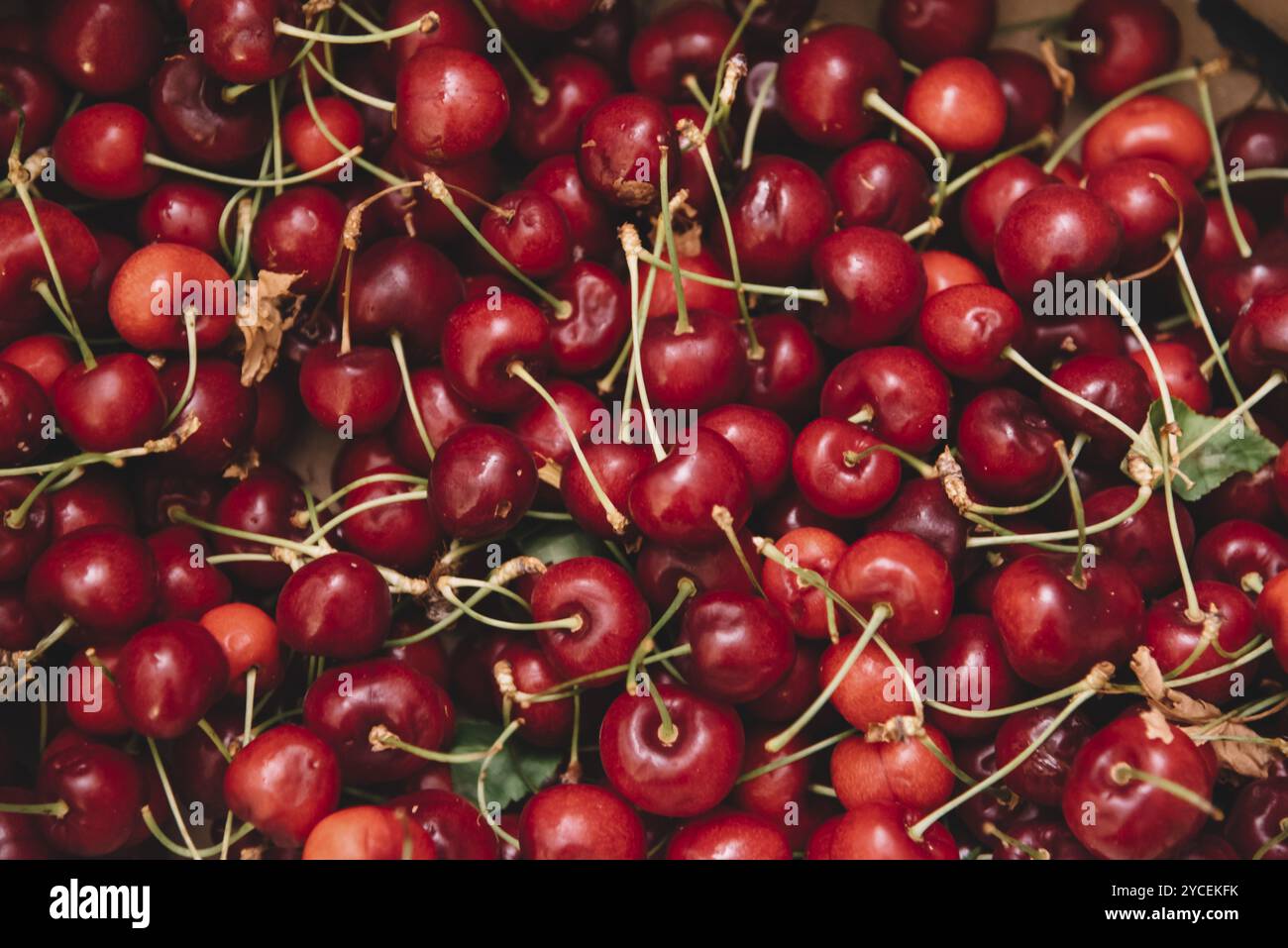 Cherries fresh fruit background Stock Photo - Alamy