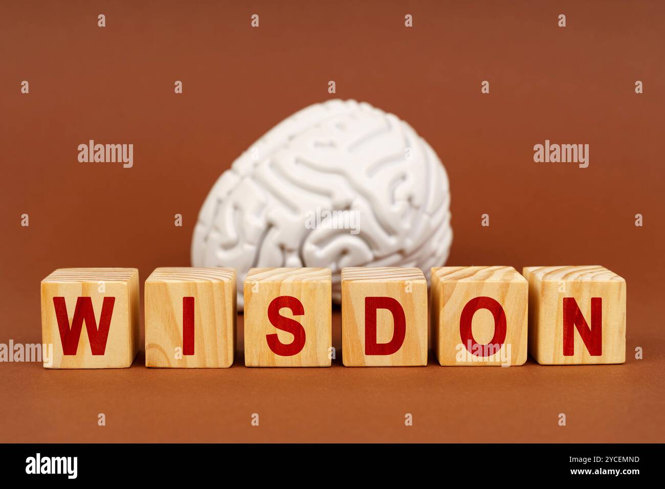 Wooden blocks spell out wisdom in bold red letters, prominently ...