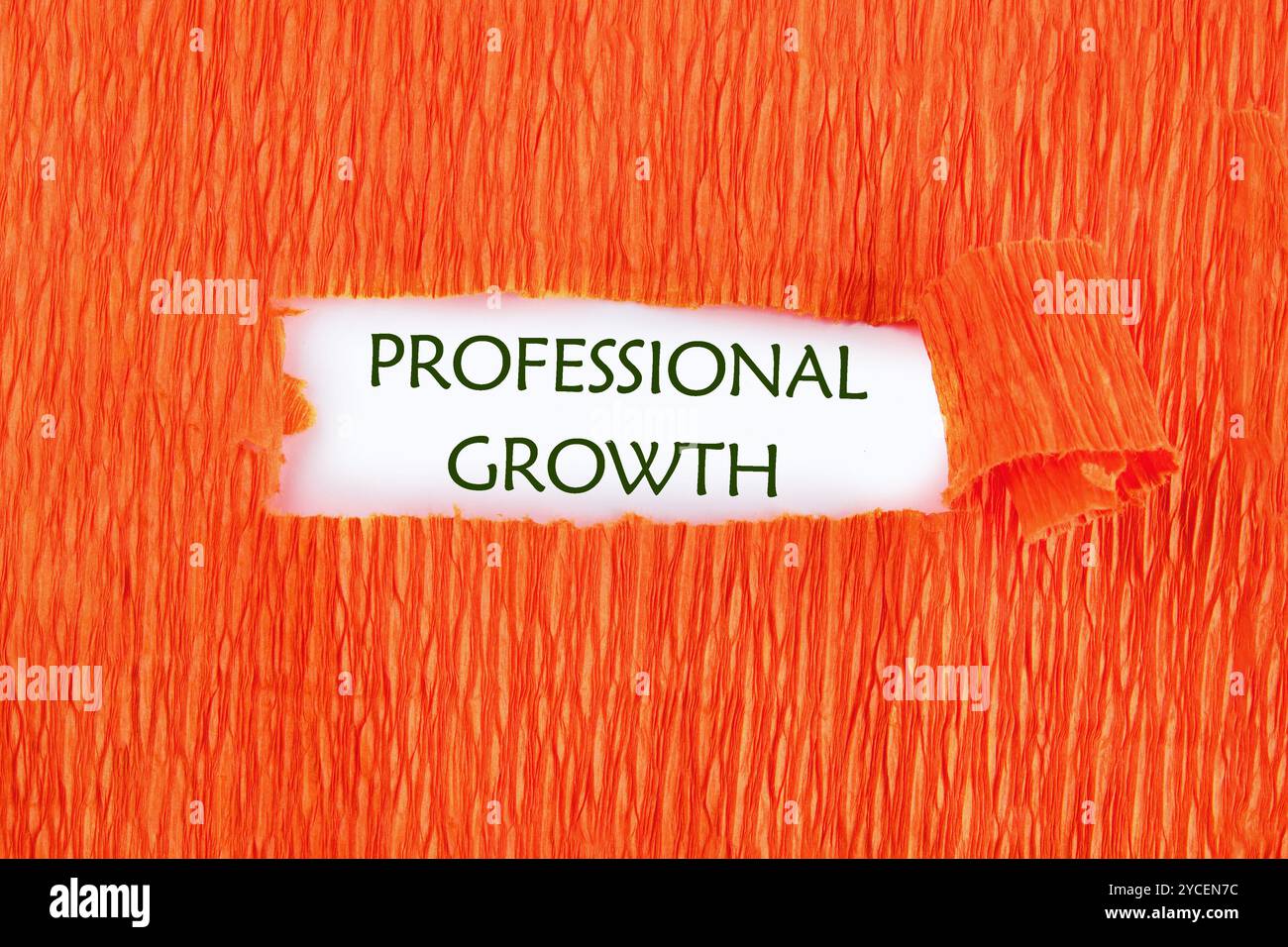 Business concept. The phrase, text, and words of PROFESSIONAL GROWTH ...