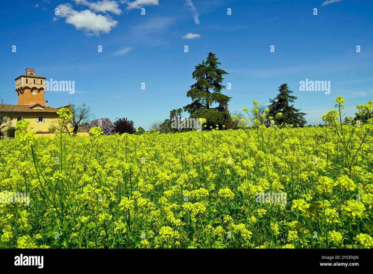 Landscapes and colors of the spring flowering of the Emilia-Romagna ...