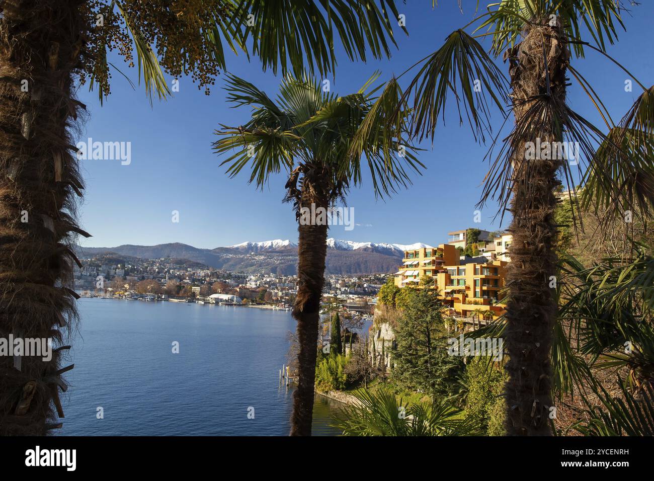 Panorama of the city of Lugano through the palm trees:. Outside the ...