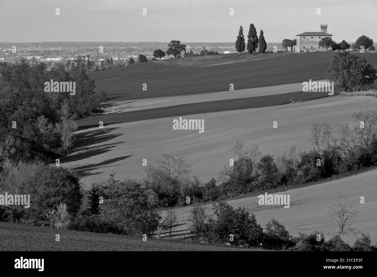 Landscapes and colors of the spring flowering of the Emilia-Romagna ...