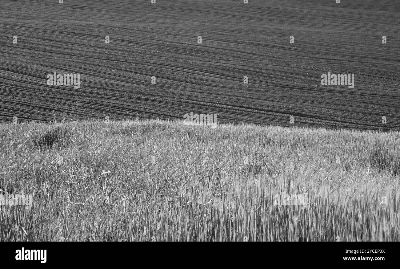 Landscapes and colors of the spring flowering of the Emilia-Romagna ...