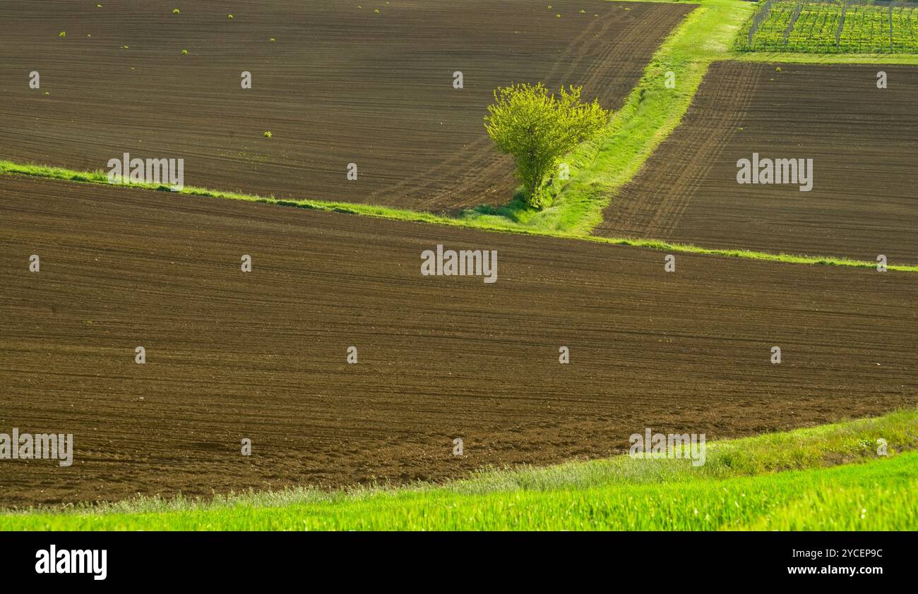 Landscapes and colors of the spring flowering of the Emilia-Romagna ...