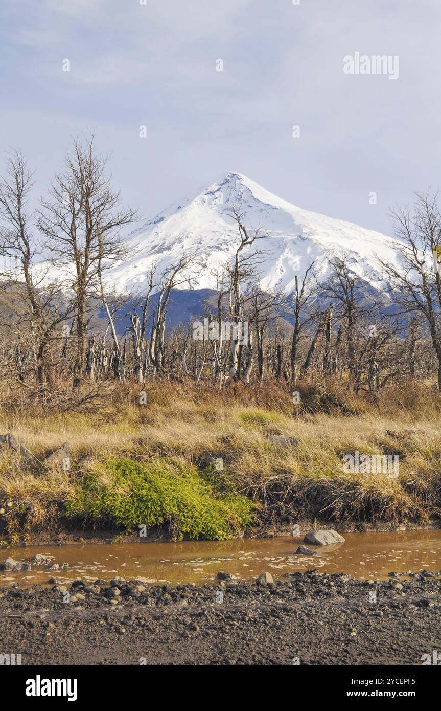 Lanin Volcano is an ice-clad, cone-shaped stratovolcano on the border ...