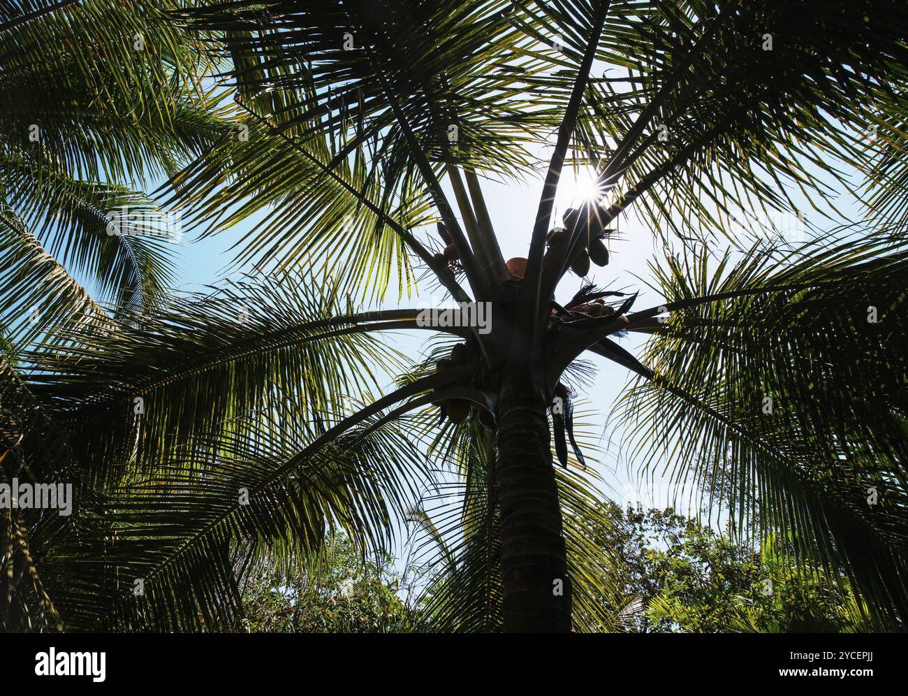 Dreamlike structure hi-res stock photography and images - Alamy