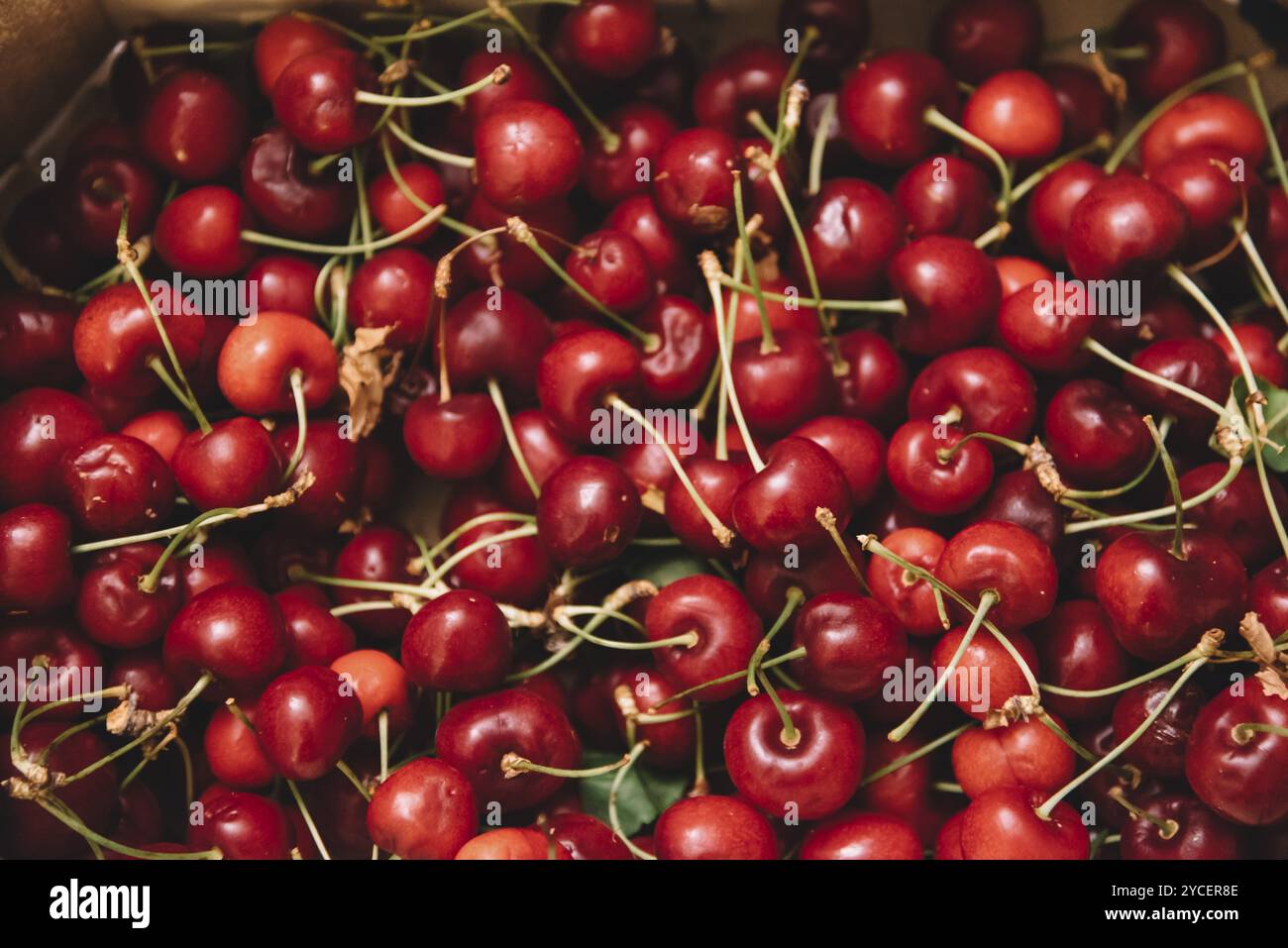 Types of cherries hi-res stock photography and images - Alamy