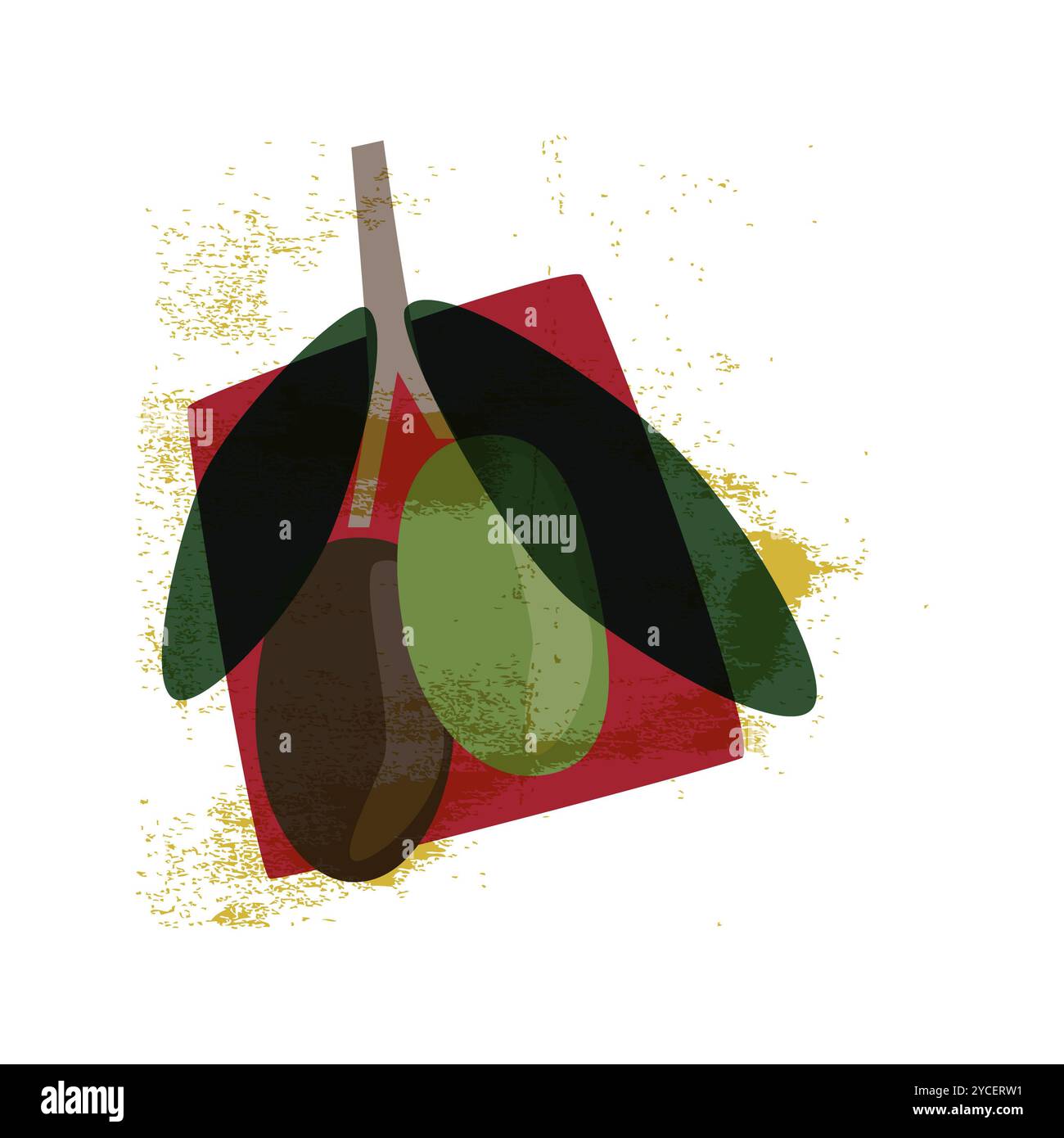 Olive tree branch olives in Cut Out Stock Images & Pictures - Alamy