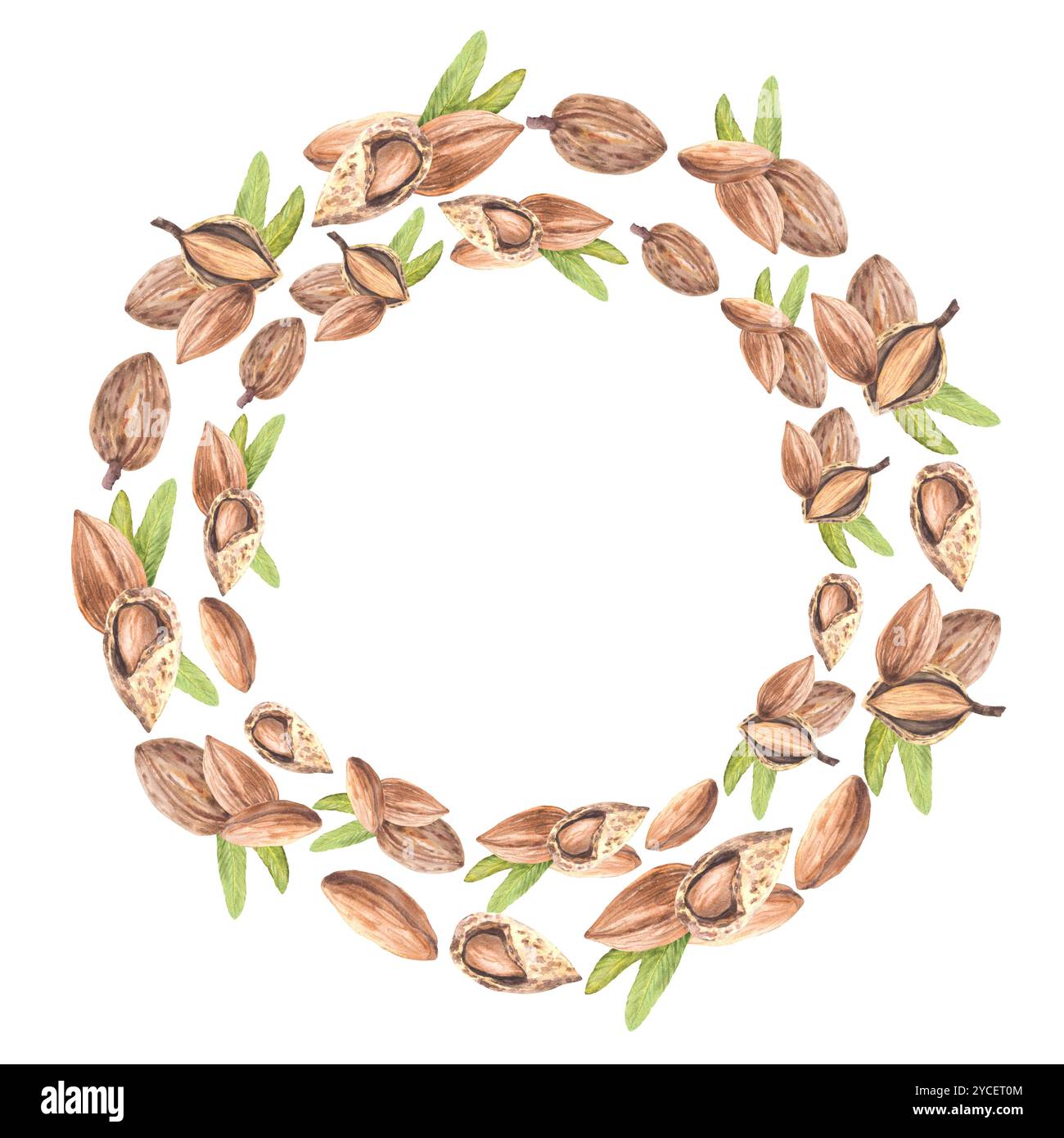 Almond nuts. Watercolor wreath frame of almond tree fruit Snack nuts ...