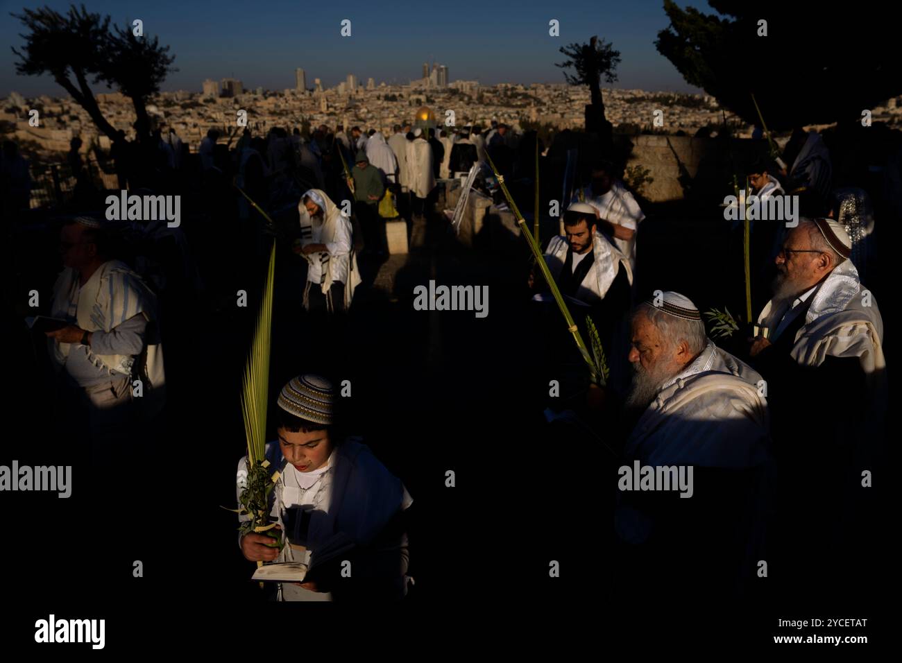 Ultra-Orthodox Jews wearing prayer shawls perform the Hoshana Rabbah ...