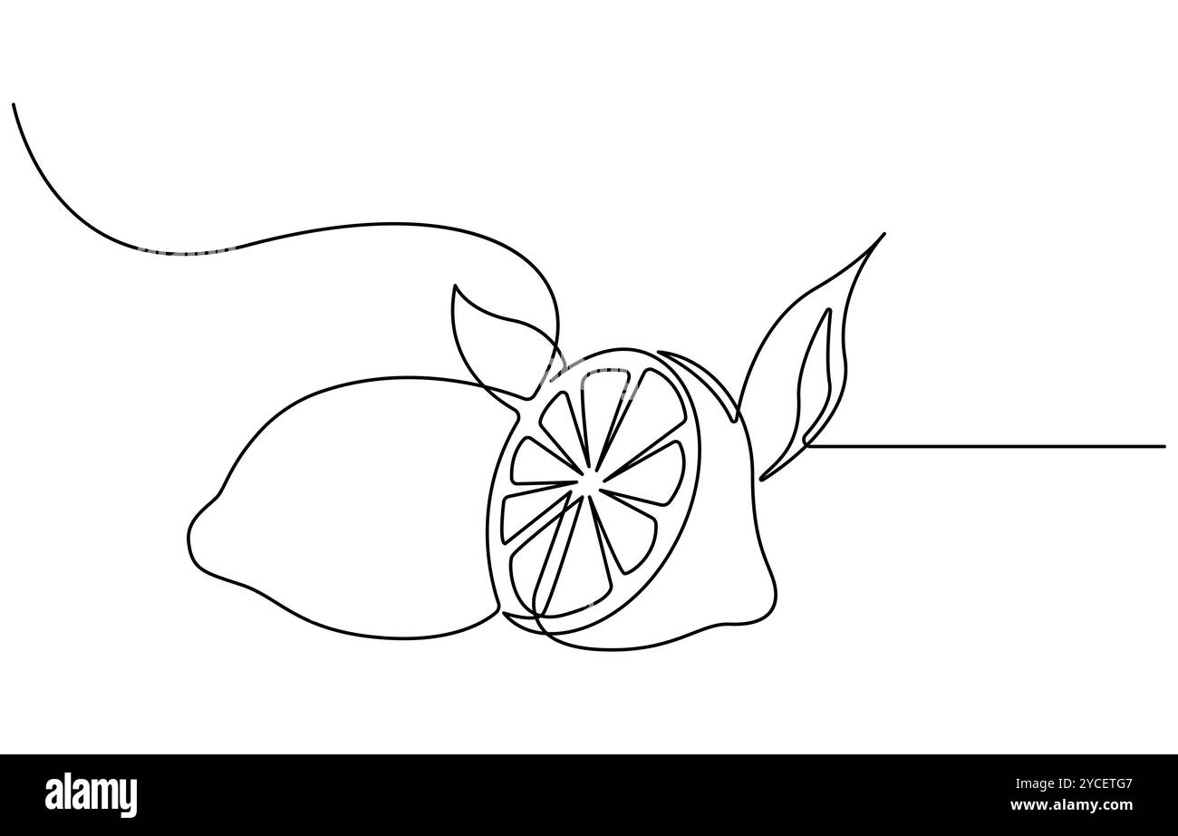 Lemon in one line. The concept of healthy eating, fruits, citrus ...