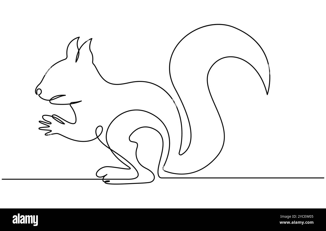 Continuous One Line Drawing Of Chipmunk Squirrel Single Line Art Vector Illustration Squirrel