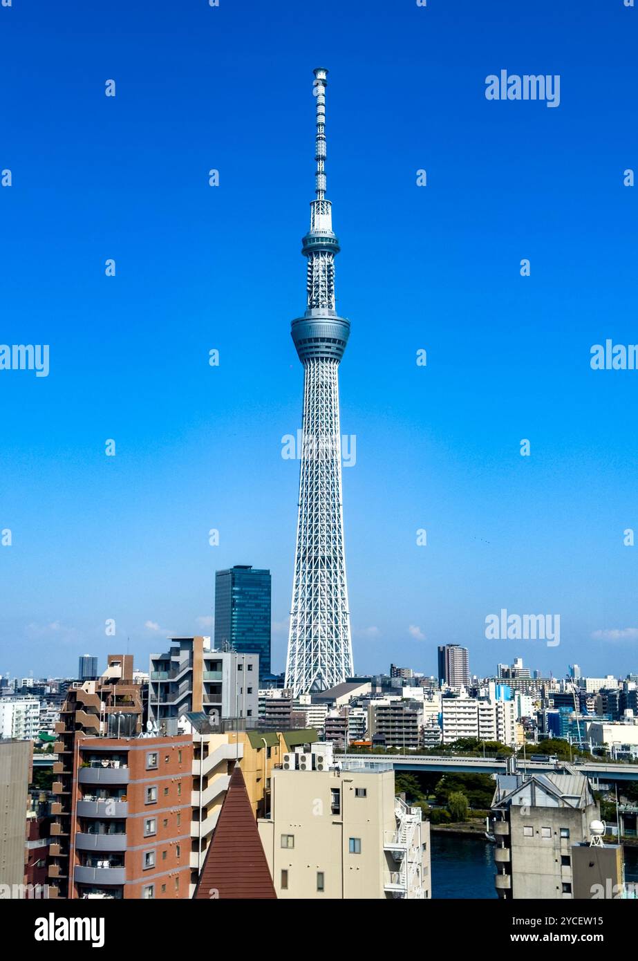 View of Tokyo SkyTree in Sumida City, Tokyo, Japan Stock Photo - Alamy