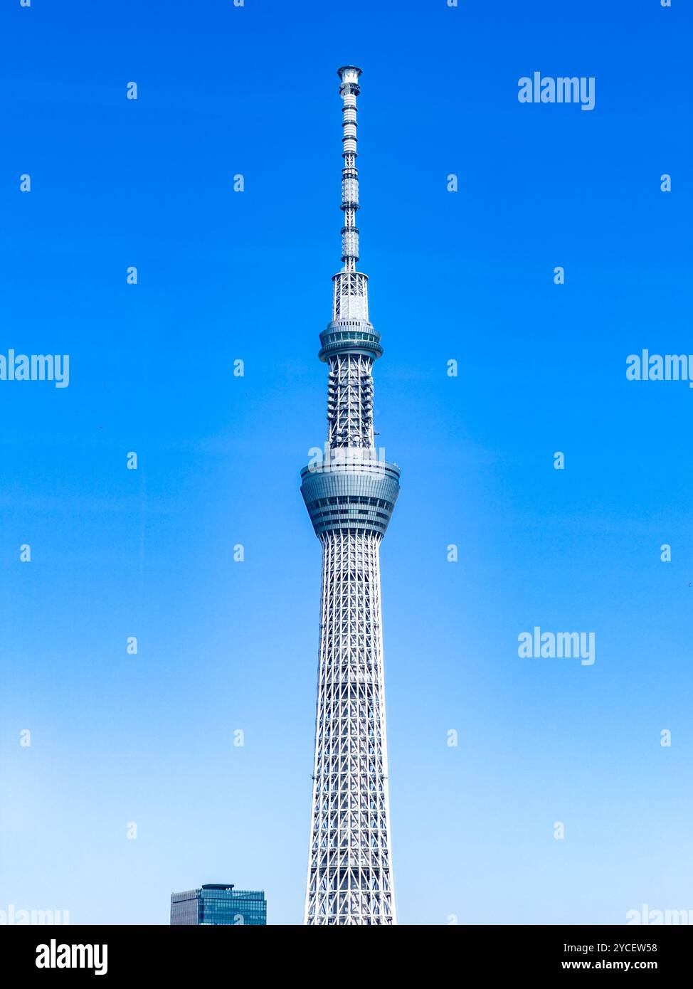 View of Tokyo SkyTree in Sumida City, Tokyo, Japan Stock Photo - Alamy