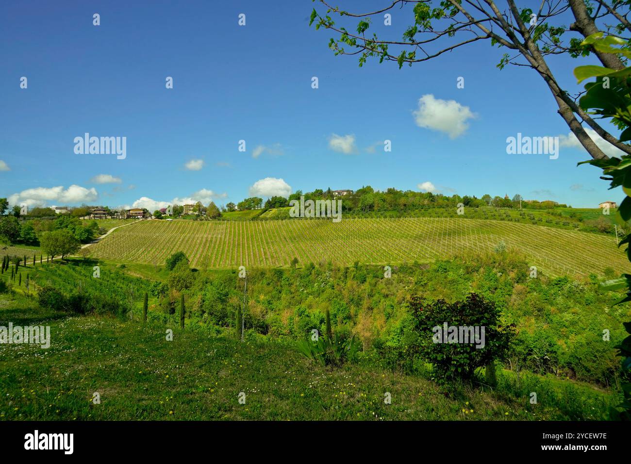 Landscapes and colors of the spring flowering of the Emilia-Romagna ...