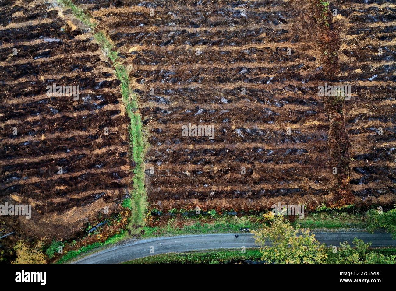 Aerial view of a peat bog being exploited for peat extraction, creating ...