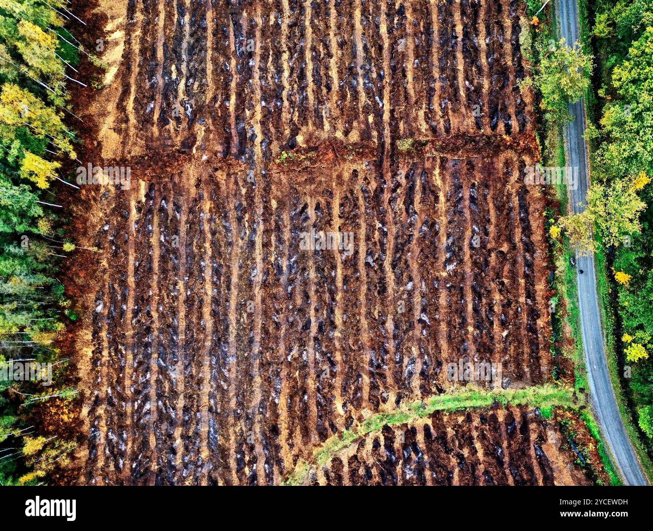Aerial view of peat extraction from a bog, showing environmental harm ...