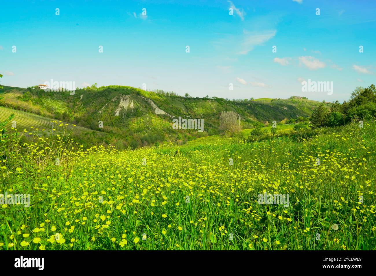 Landscapes and colors of the spring flowering of the Emilia-Romagna ...