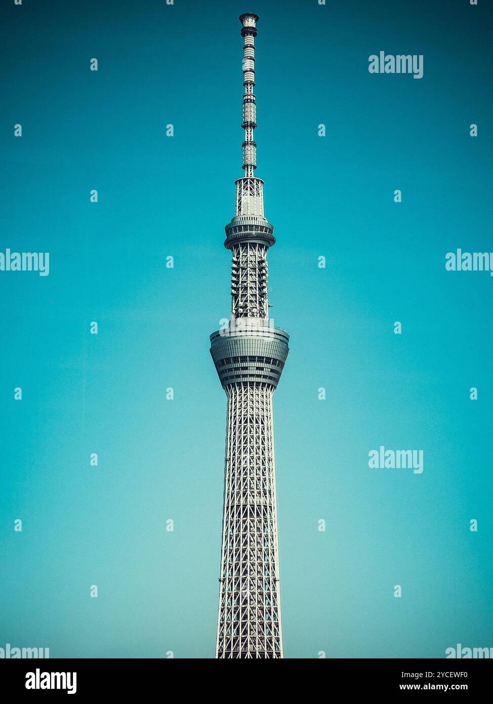View of Tokyo SkyTree in Sumida City, Tokyo, Japan Stock Photo - Alamy