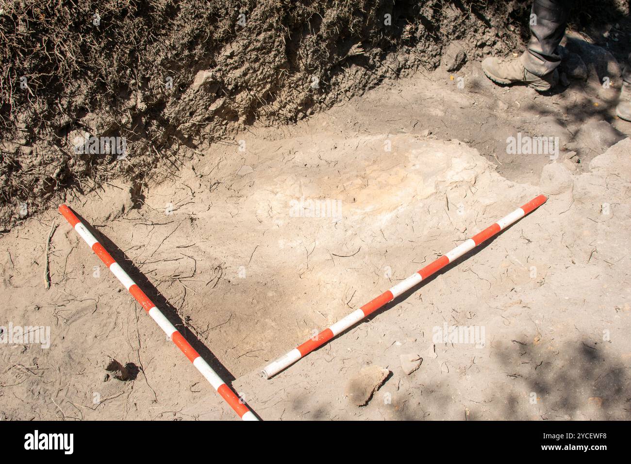 range poles on an excavated surface in an archaeological excavation ...