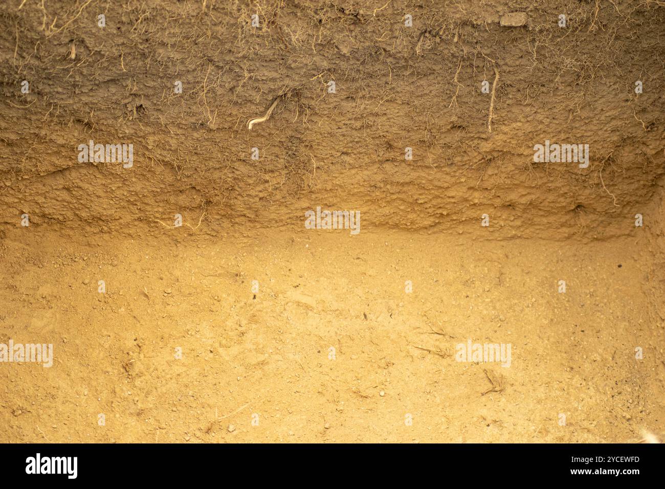 excavated soil in an archaeological excavation, archaeological and ...