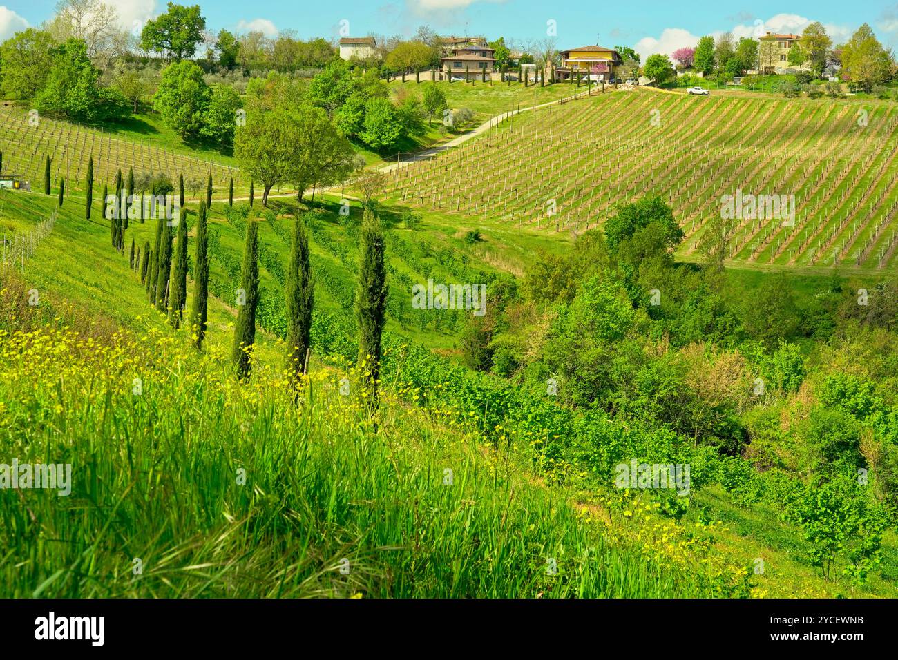 Landscapes and colors of the spring flowering of the Emilia-Romagna ...