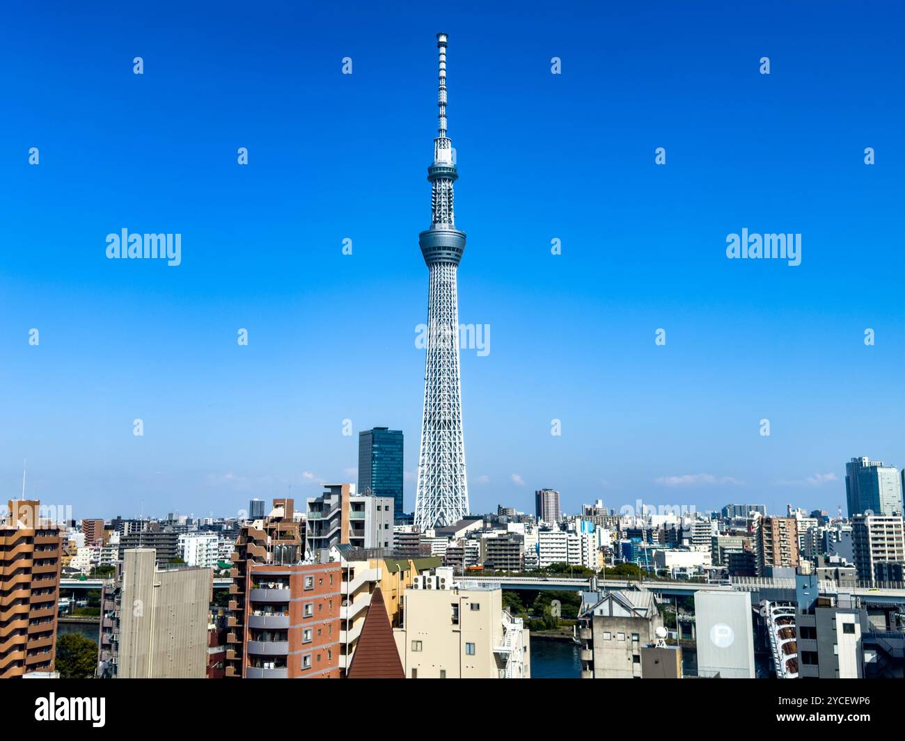 View of Tokyo SkyTree in Sumida City, Tokyo, Japan Stock Photo - Alamy