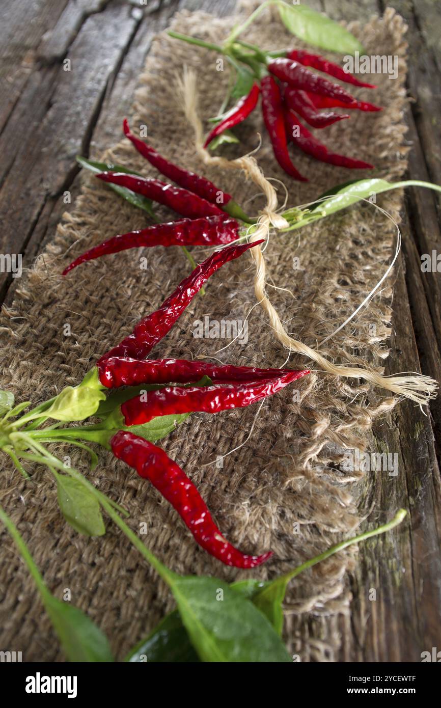 Hanging red chillies bunches hi-res stock photography and images - Alamy