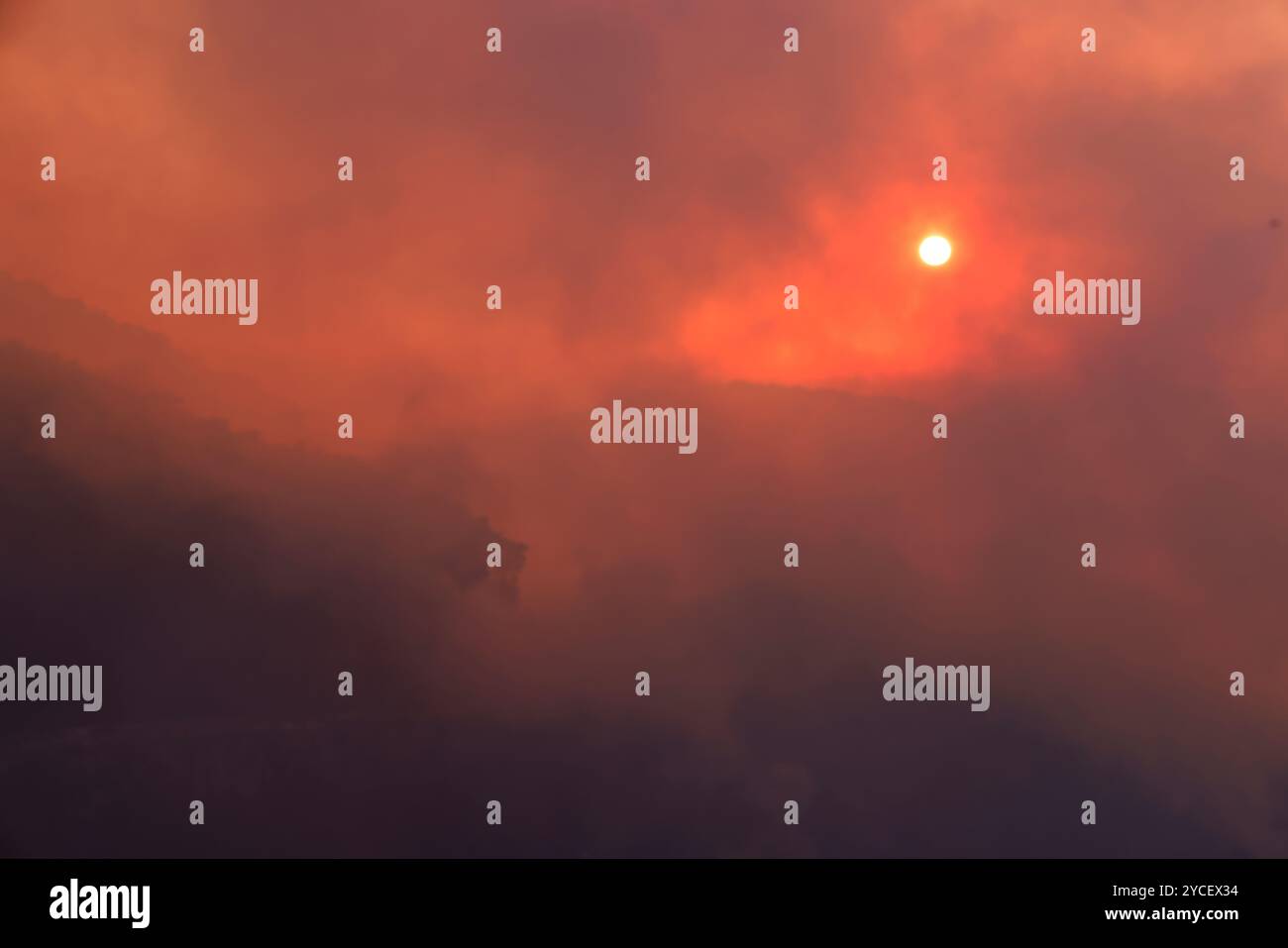The fire in the Rabweh forests in Mount Lebanon continues to rage ...