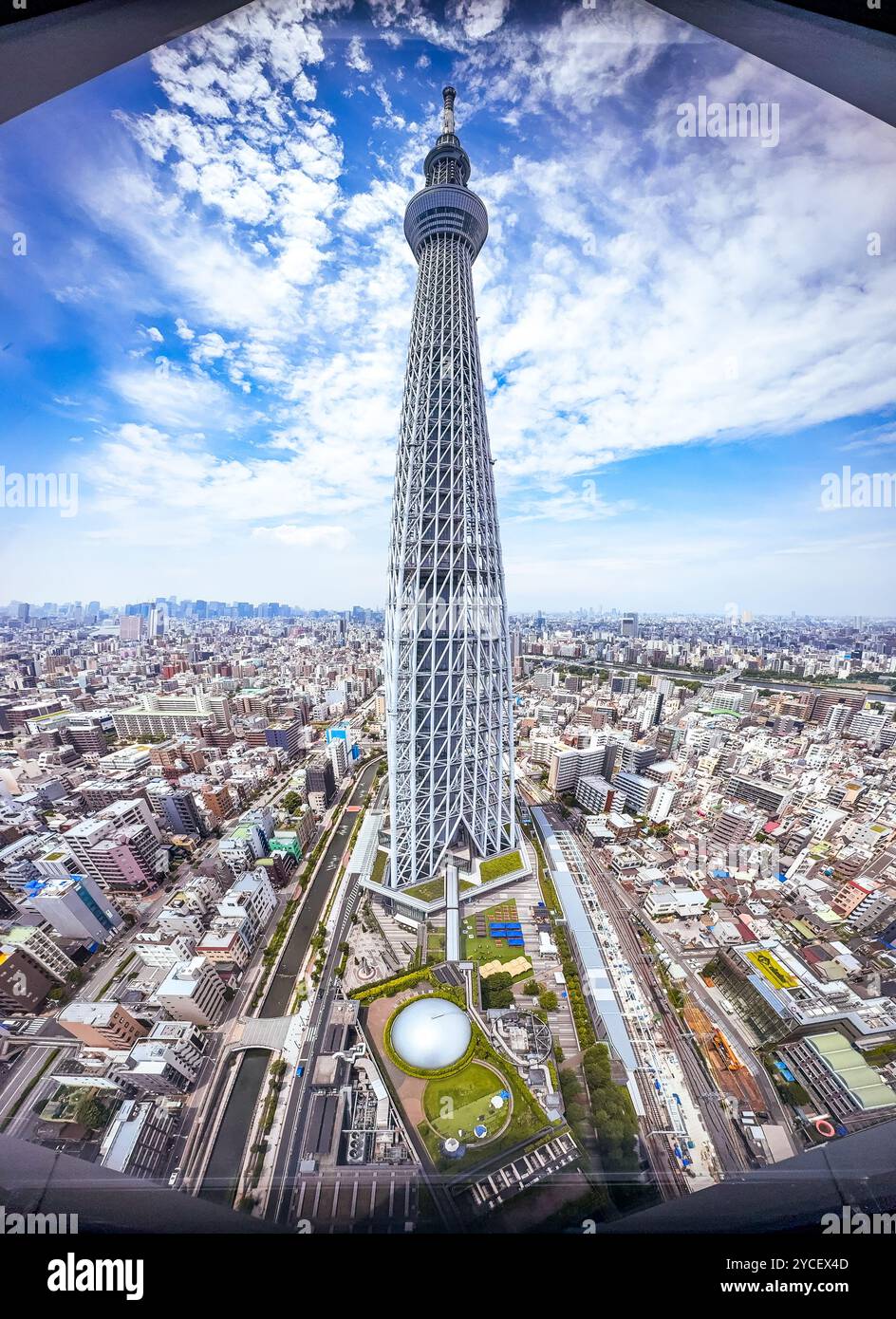 View of Tokyo SkyTree in Sumida City, Tokyo, Japan Stock Photo - Alamy