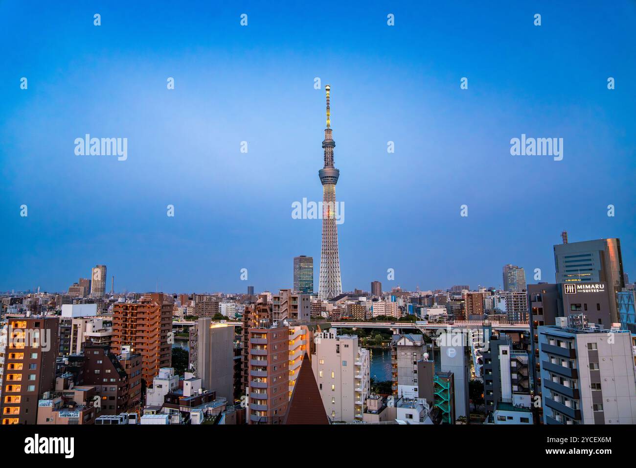 View of Tokyo SkyTree in Sumida City, Tokyo, Japan Stock Photo - Alamy