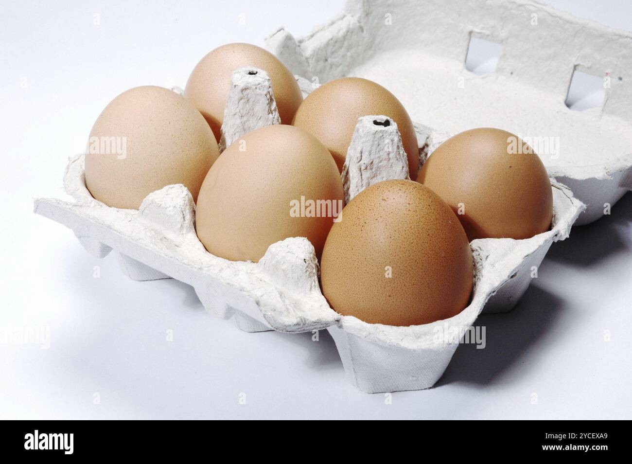 Eggs on Carton, Close Up against white background Stock Photo - Alamy