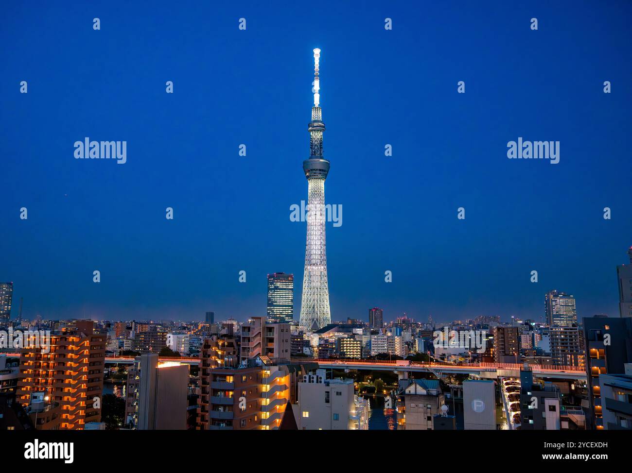View of Tokyo SkyTree in Sumida City, Tokyo, Japan Stock Photo - Alamy