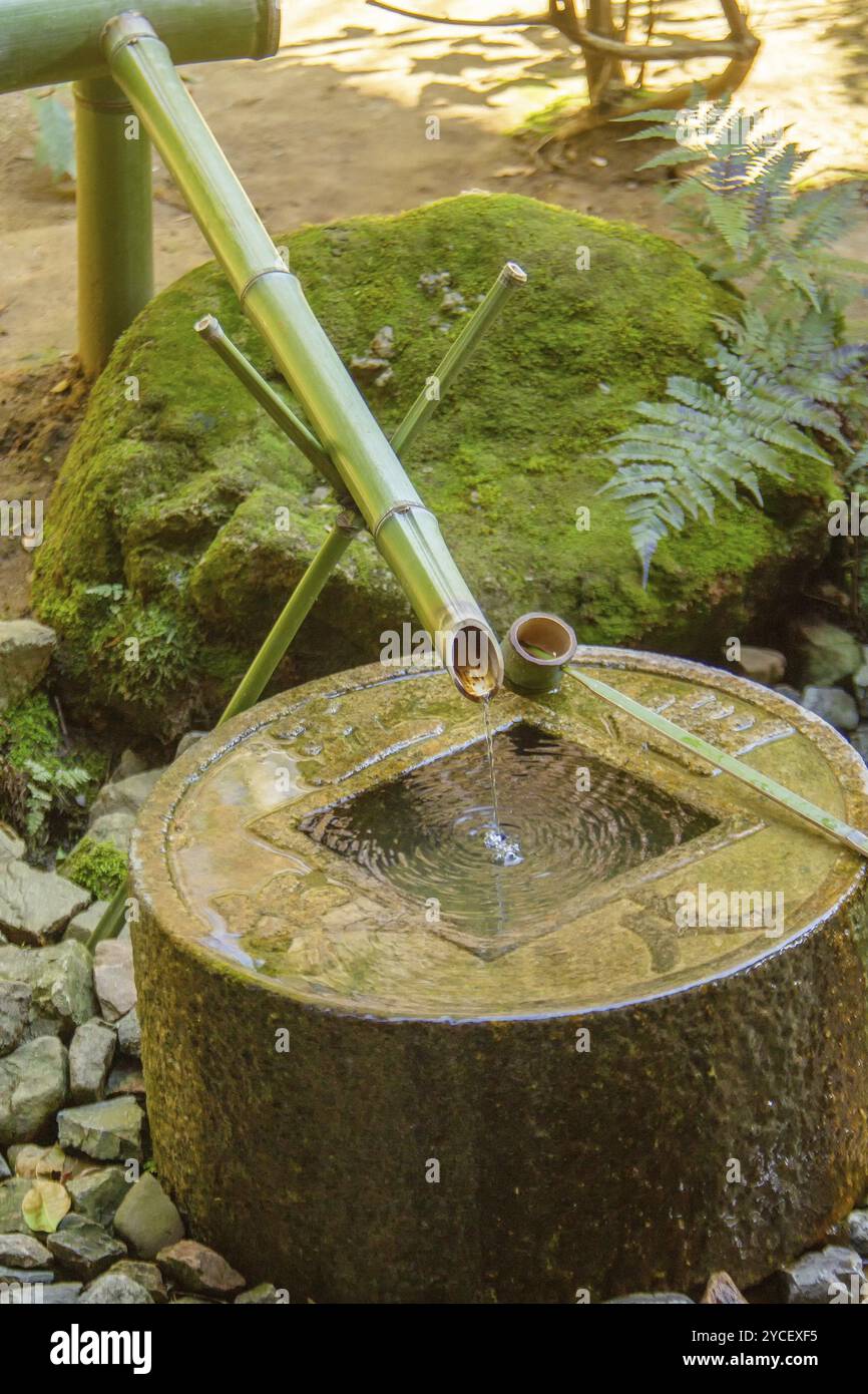 Spring with bamboo pipe. Water flows from bamboo pipe Stock Photo - Alamy