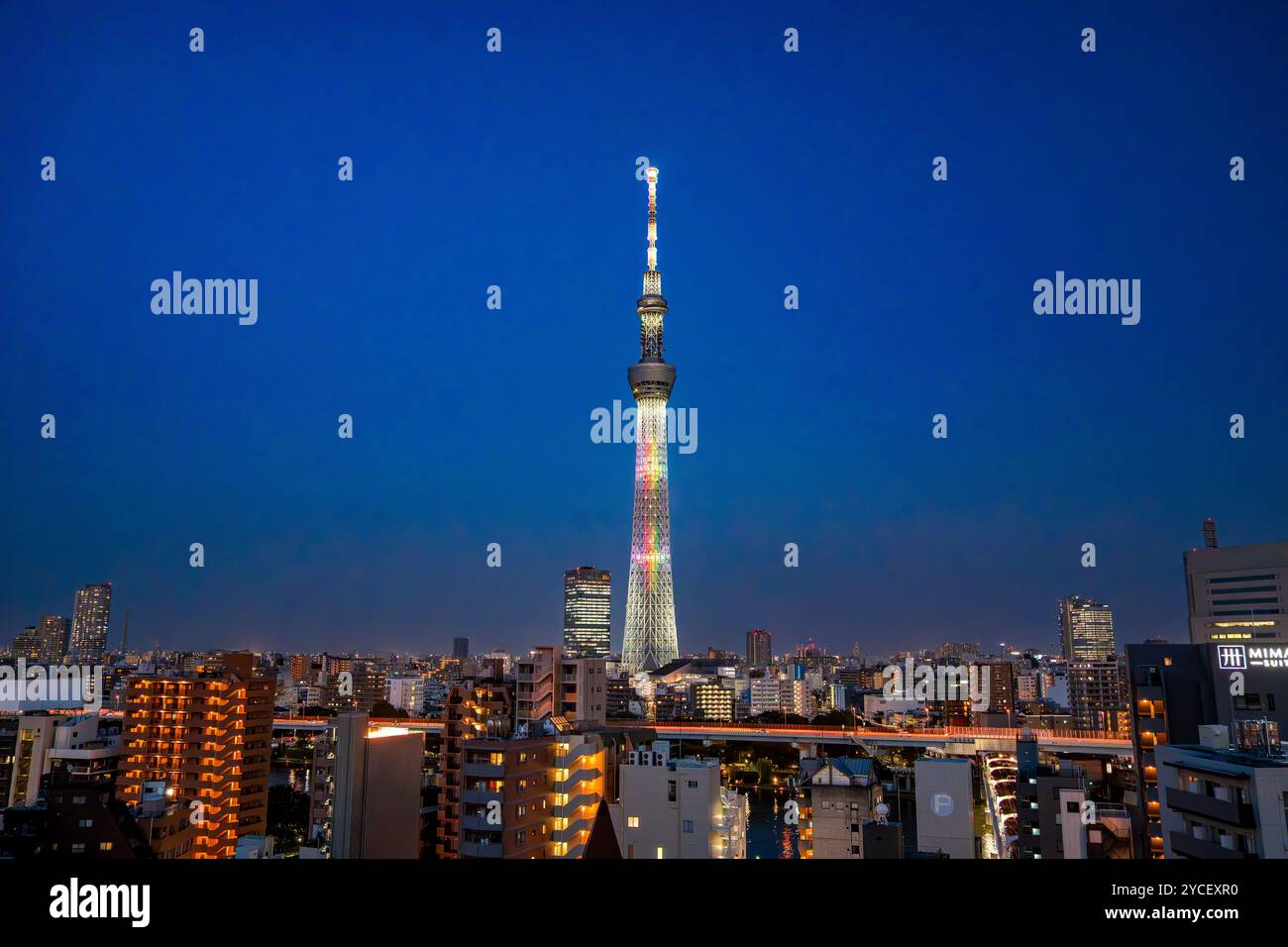 View of Tokyo SkyTree in Sumida City, Tokyo, Japan Stock Photo - Alamy