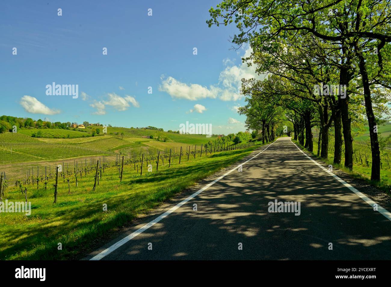 Landscapes and colors of the spring flowering of the Emilia-Romagna ...