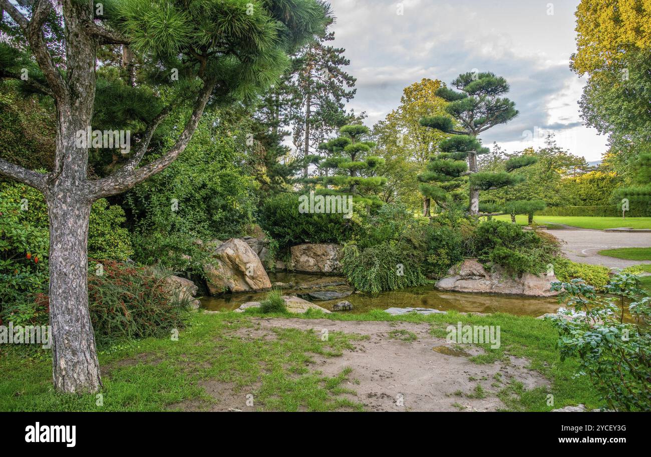 Artificial stream and topiary pine trees and big rocks in sunset in ...
